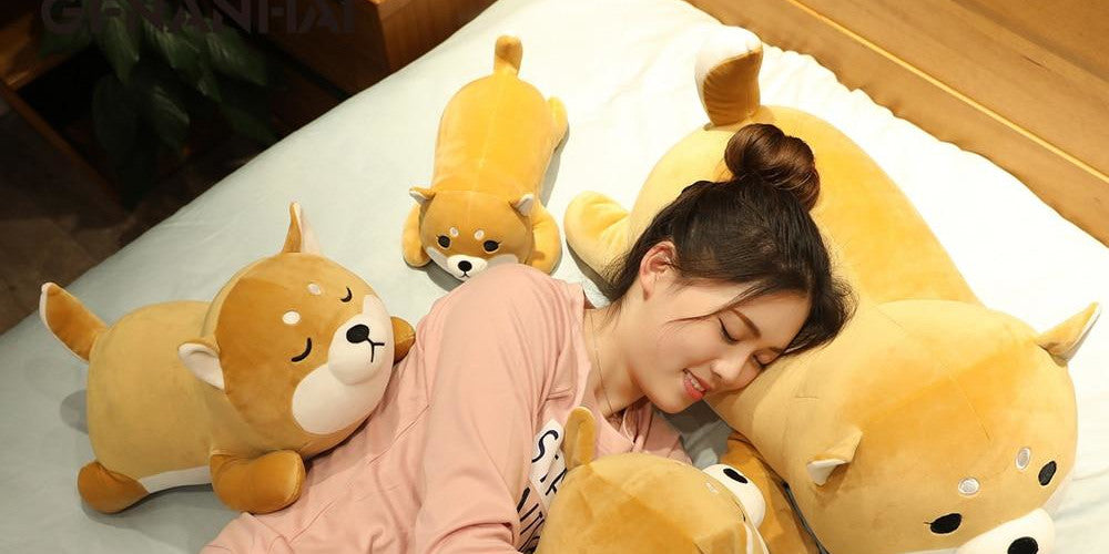 Shiba Store | Shiba Plushies | Shiba Stuff